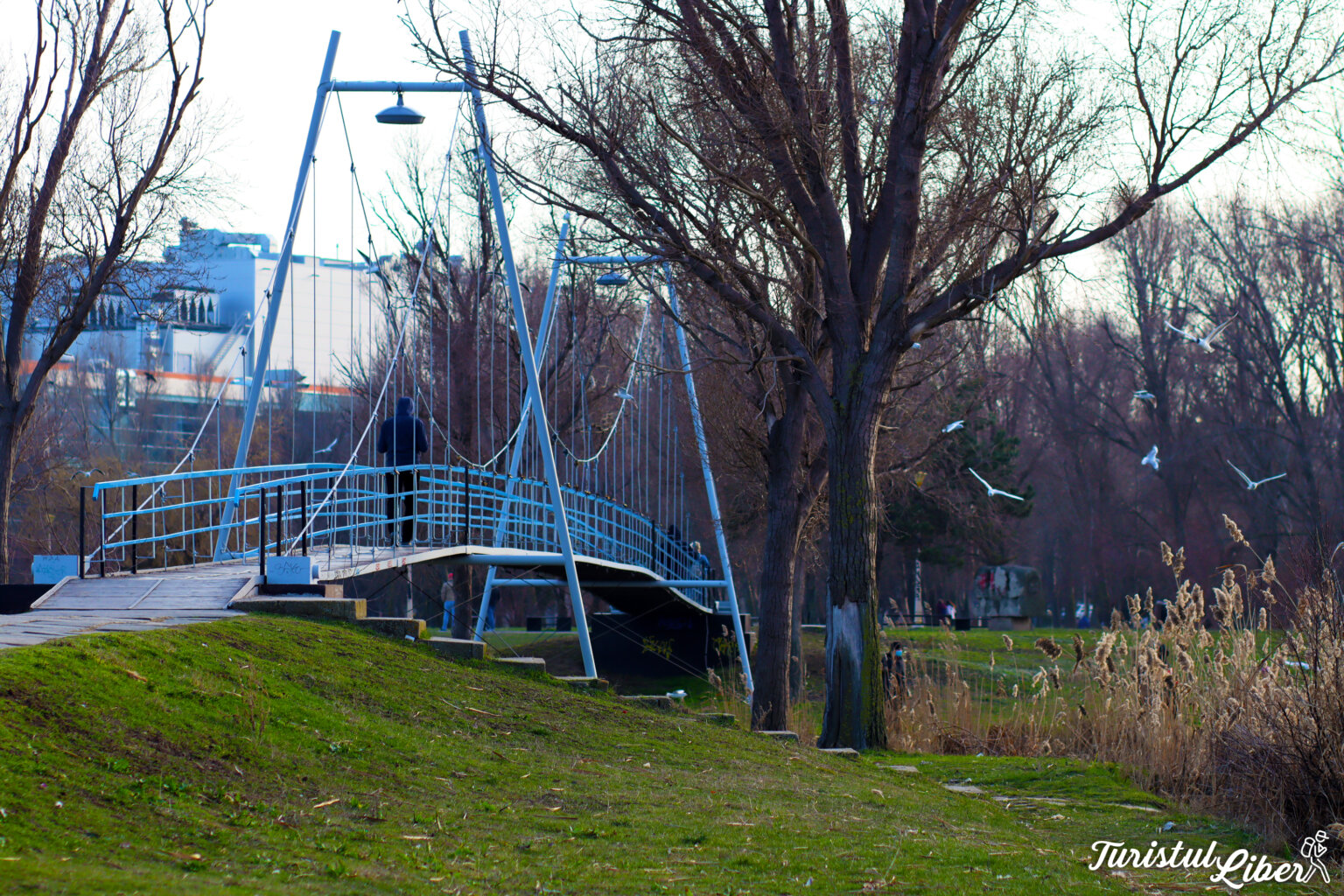 Parcul Tabacariei din Constanta - Motive pentru a-l vizita ...