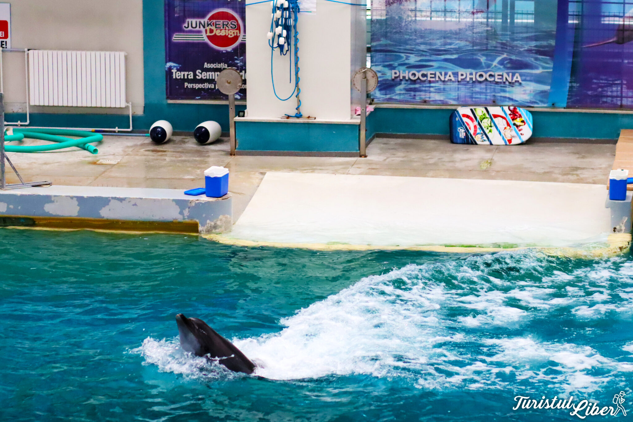 Delfinariu Constanta - Un Spectacol ce Merita Vazut! | TuristulLiber.ro