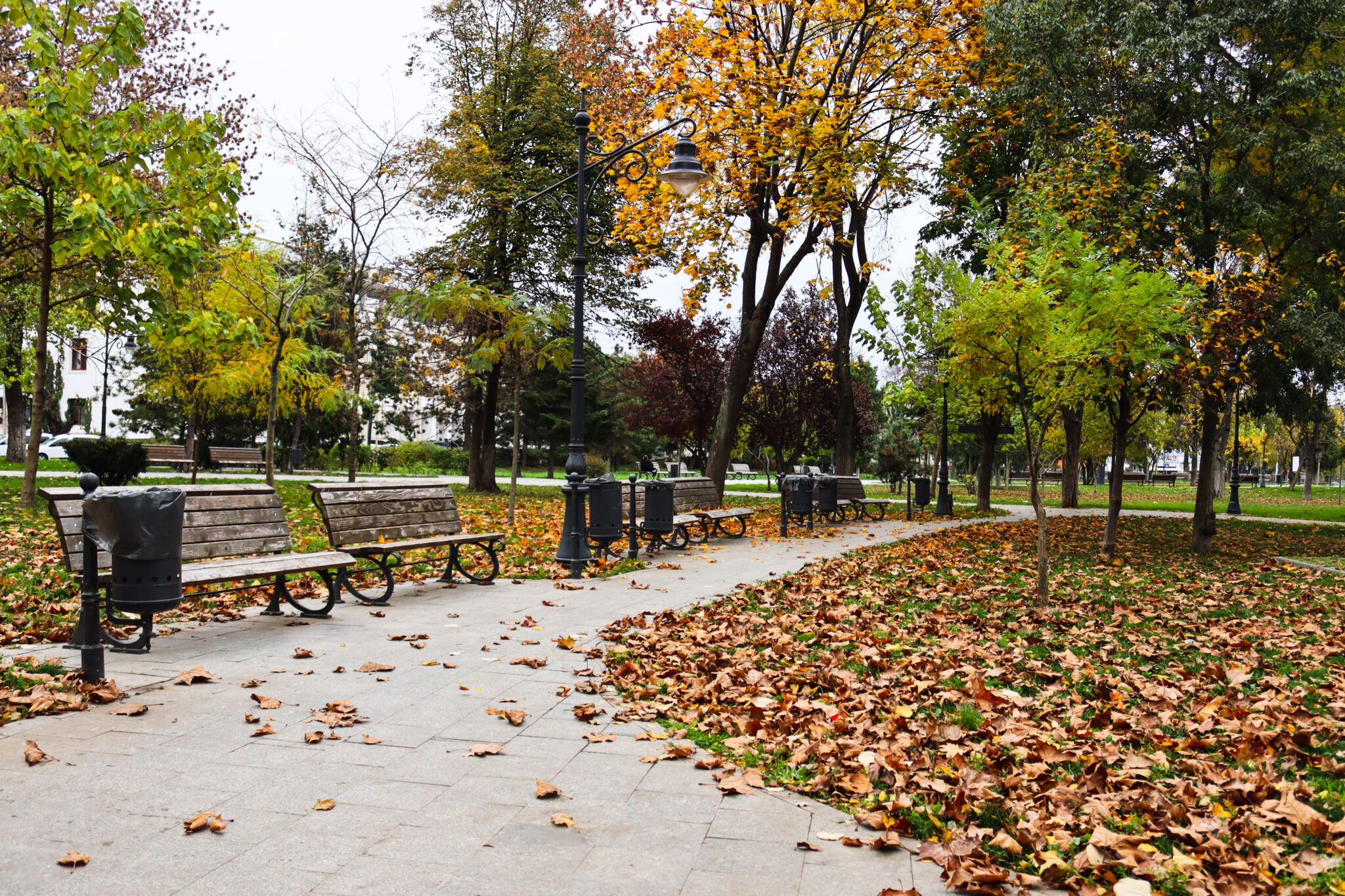 Parcul Arheologic Constanta - Natura & Istorie | TuristulLiber.ro